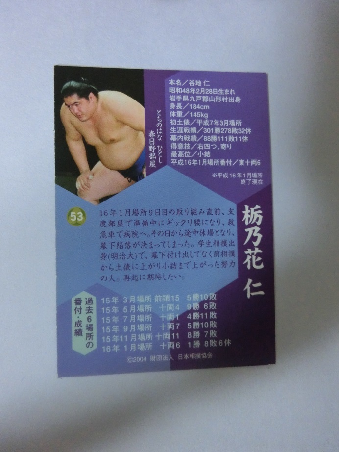 BBM 大相撲カード 2004年版 栃乃花仁 53(その他)｜売買されたオークション情報、yahooの商品情報をアーカイブ公開 - オークファン（aucfan.com）