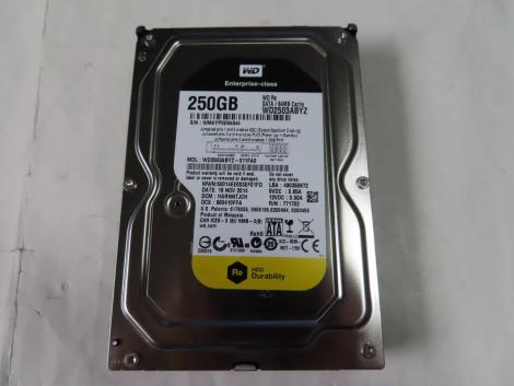 I O DATA HDL-GT1.0 起動DISK 250GB HD WesternDigital WD2503ABYZ(NAS)｜売買された ...