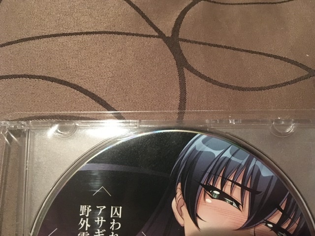 対魔忍RPG 会場限定 特典 ドラマCD 2枚セット 対魔忍アサギ リリス LILITH コミケ97 C97 カガミ(コミック、アニメグッズ)｜売買されたオークション情報、yahooの商品情報 ...