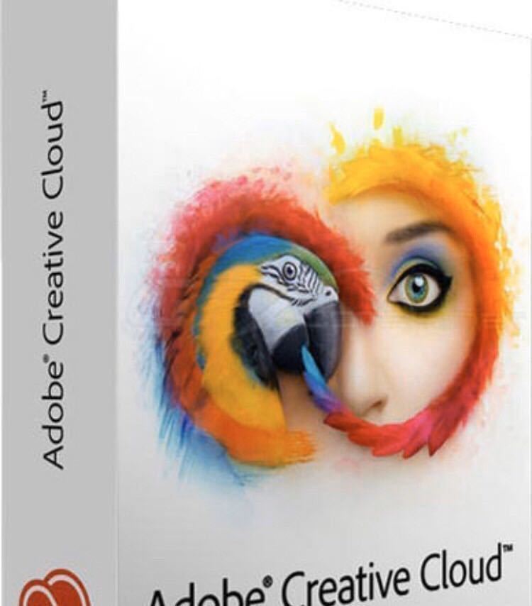 Windows10 64bit Adobe Creative Cloud 2020 安心インストールガイド付 ダウンロード版(ペイント、フォト ...