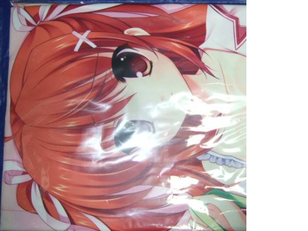 Mitha DreamPartyメモリアル抱き枕カバー2011秋(抱き枕)｜売買されたオークション情報、yahooの商品情報をアーカイブ公開 - オークファン（aucfan.com）