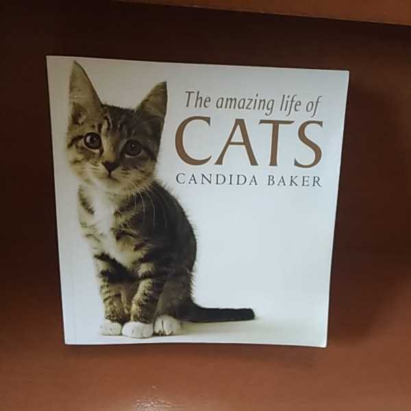 洋書 The amazing life of CATS CANDIDA BAKER/英語 動物 猫 ペーパーバック(猫)｜売買された ...