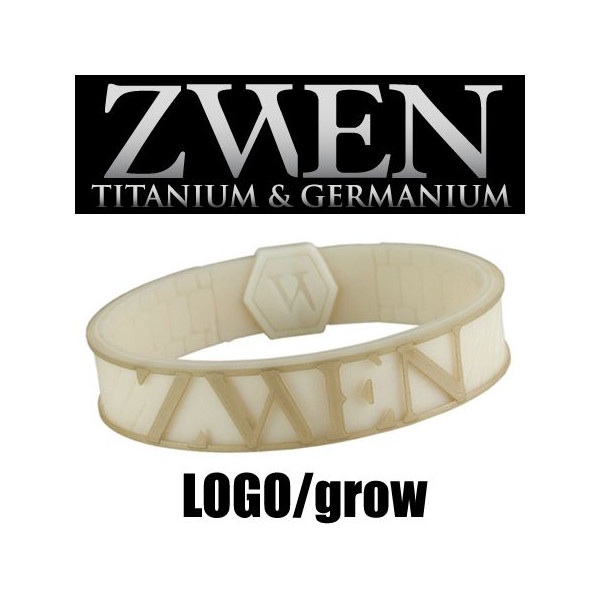 ZWEN TITANIUM LOGO \3 675 サーフィン ライブ キムタク 本物(サーフィン一般)｜売買されたオークション情報 ...