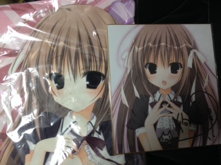 狗神煌 抱き枕+色紙セット NECOTOXIN COMIC1 7 A&Jライクラ(抱き枕)｜売買されたオークション情報、yahooの商品情報をアーカイブ公開 - オークファン（aucfan.com）