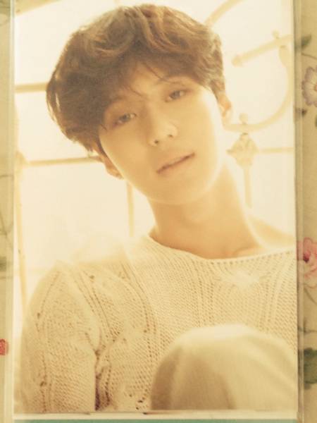 SHINee テミン TAEMIN / PHOTO CARD フォトカード / SM公式(SHINee)｜売買されたオークション情報 ...