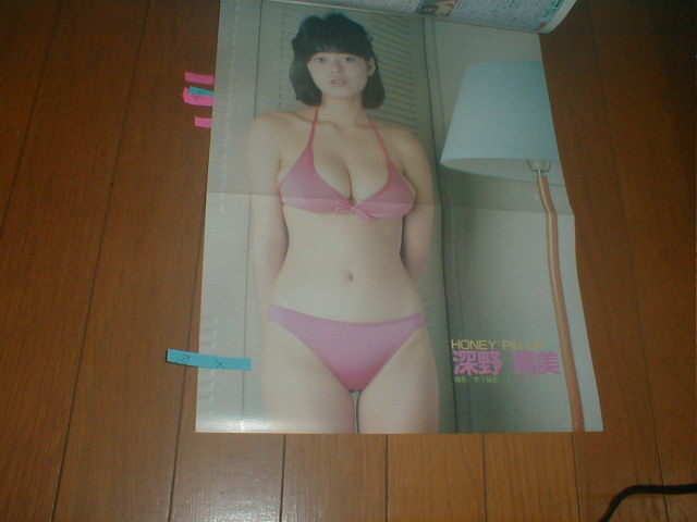 Eiga Guide 1985/10 巨乳/深野晴美/水着ピンナップ＆表紙3P 第3回にっかつ新人女優コンテスト 真堂ありさ 松田由美 井上あんり(アイドル、芸能人)｜売買されたオークション ...