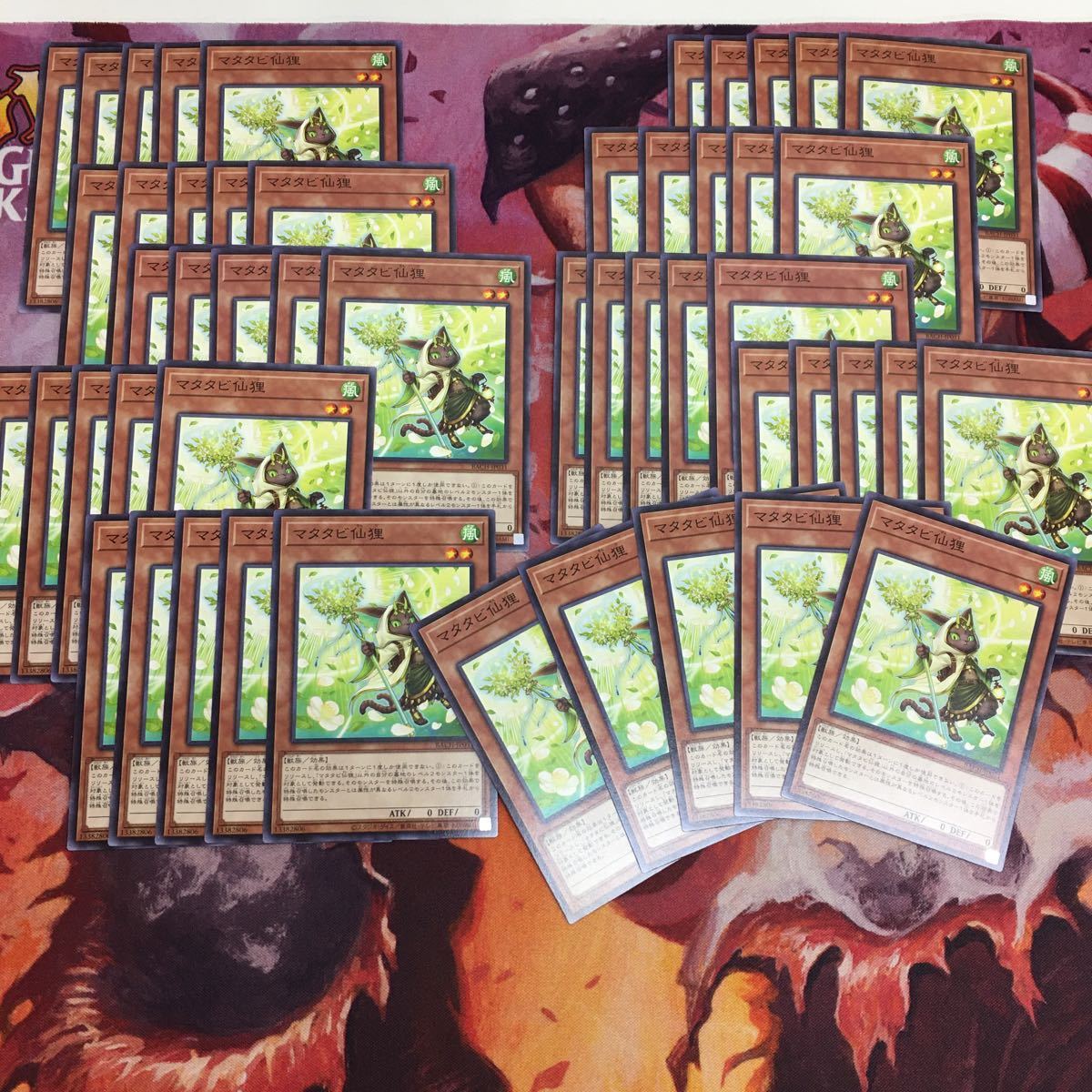 IT220621-1618 マタタビ仙狸 50枚 型番統一 ノーマル まとめ 遊戯王 BACH-JP031(セット、まとめ売り)｜売買されたオークション情報、yahooの商品情報をアーカイブ ...