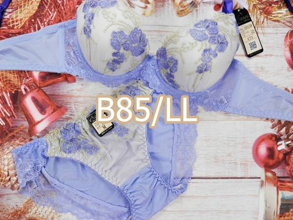 PS20-B85/LL ブラ＆ショーツセット /青系 ハーフレース 花柄刺繍 ラメ レース(80以上)｜売買されたオークション情報、yahooの商品情報をアーカイブ公開 - オークファン ...