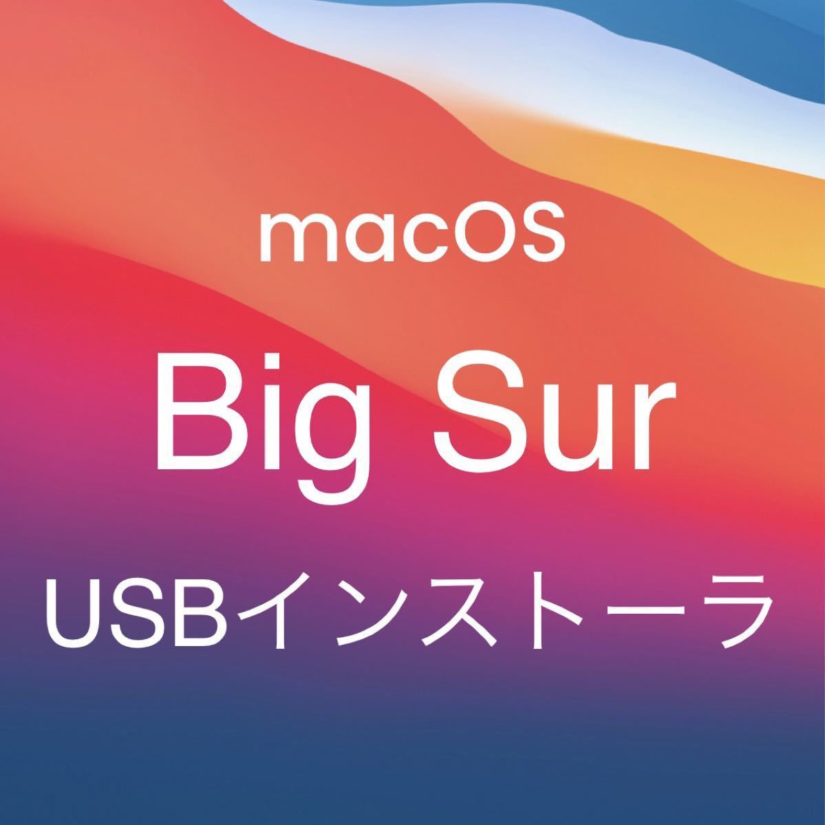 mac OS Big Sur 11.7.10 インストールUSBメモリ 起動ディスク インストーラー(その他)｜売買されたオークション情報 ...