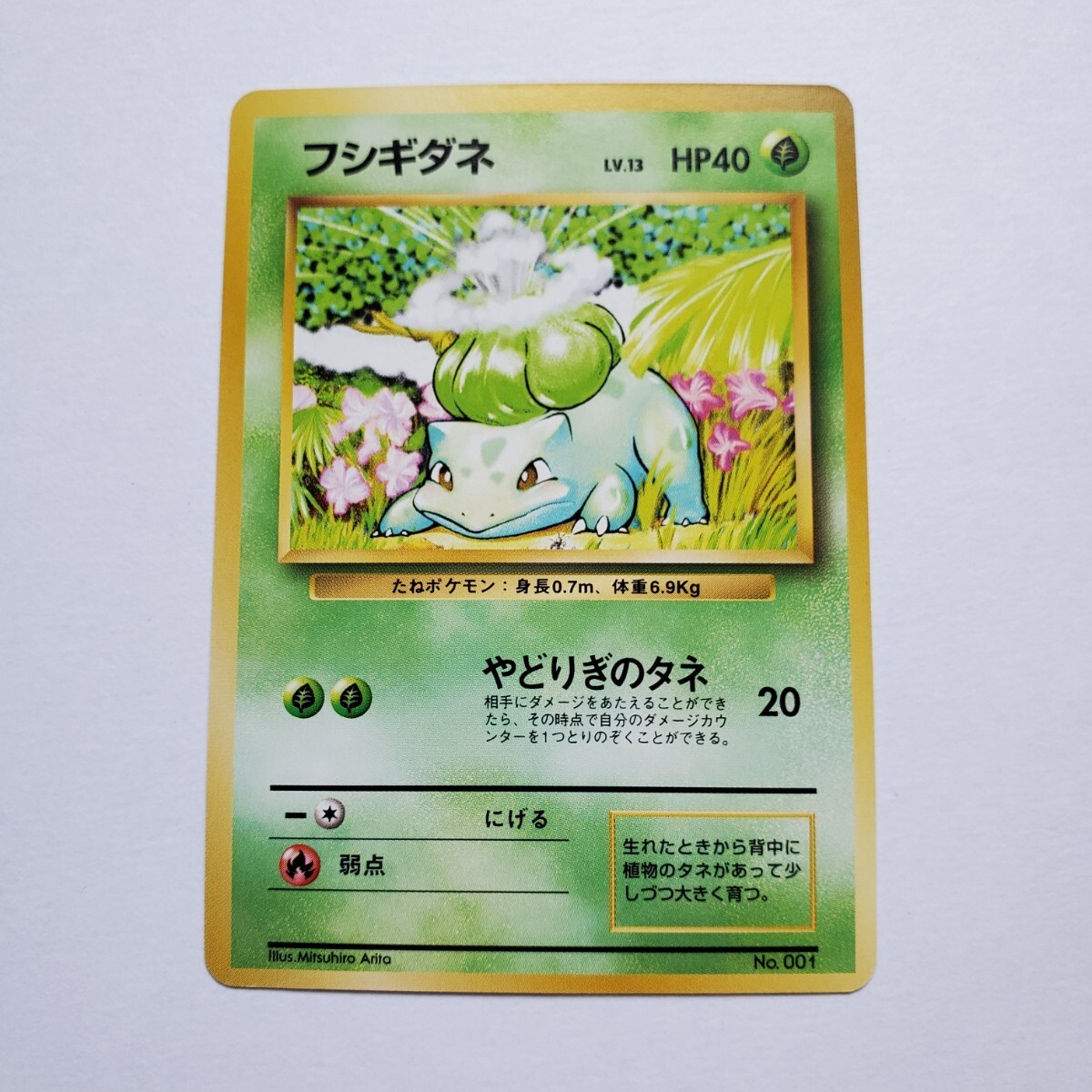 画像現状品 商品説明必読 ポケモンカード 旧裏面 フシギダネ LV.13 初版 マークなし 検索 ポケカ カードダス 同封可能(シングルカード)｜売買されたオークション情報、yahooの商品 ...