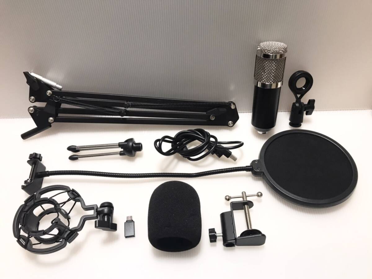 1円 コンデンサーマイク PROFESSIONAL CONDENSER MICROPHONE 箱付き 取扱説明書付き み(コンデンサーマイク ...