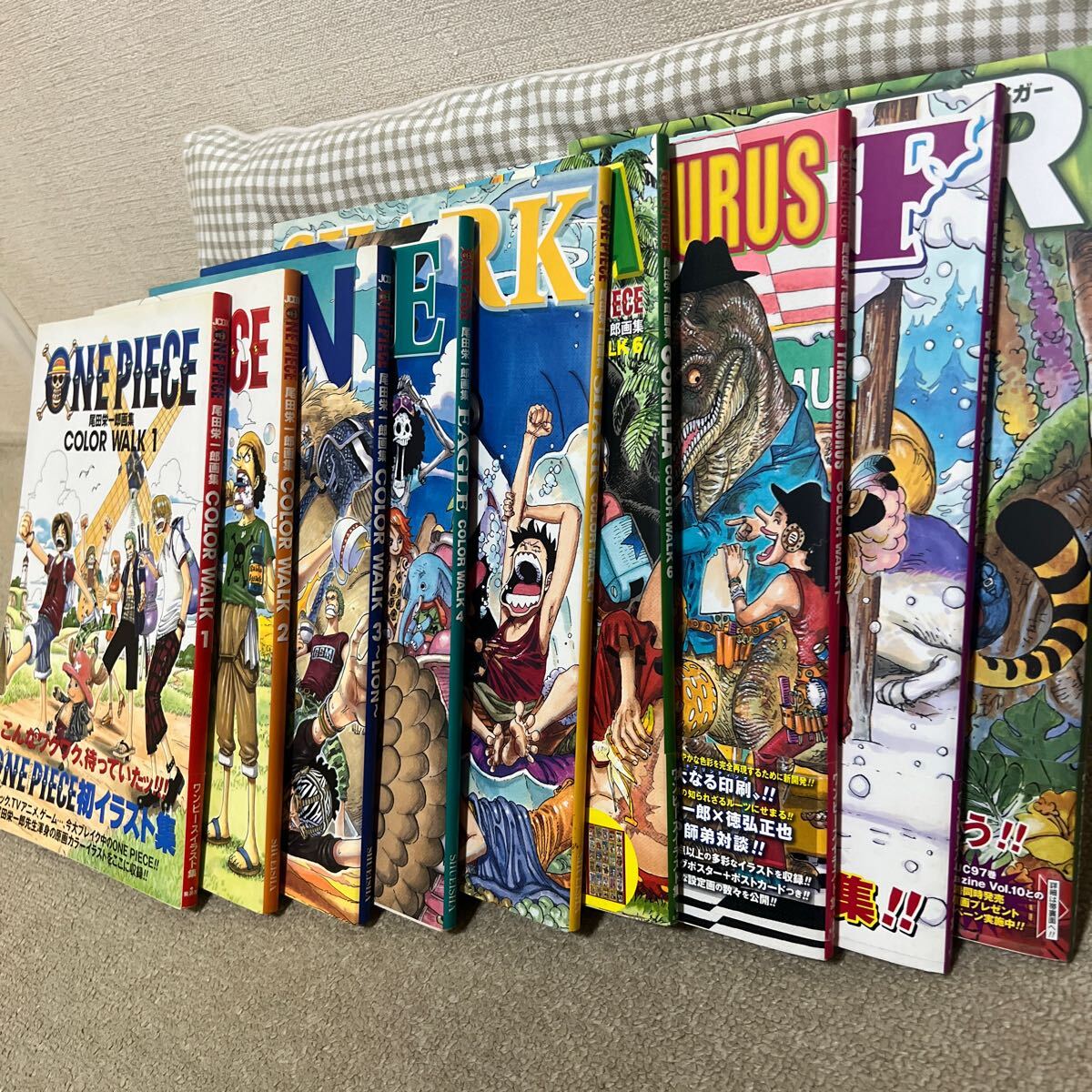 ONE PIECE COLOR WARKイラスト集1〜9の9冊セット ワンピース 尾田栄一郎画集(その他)｜売買されたオークション情報 ...