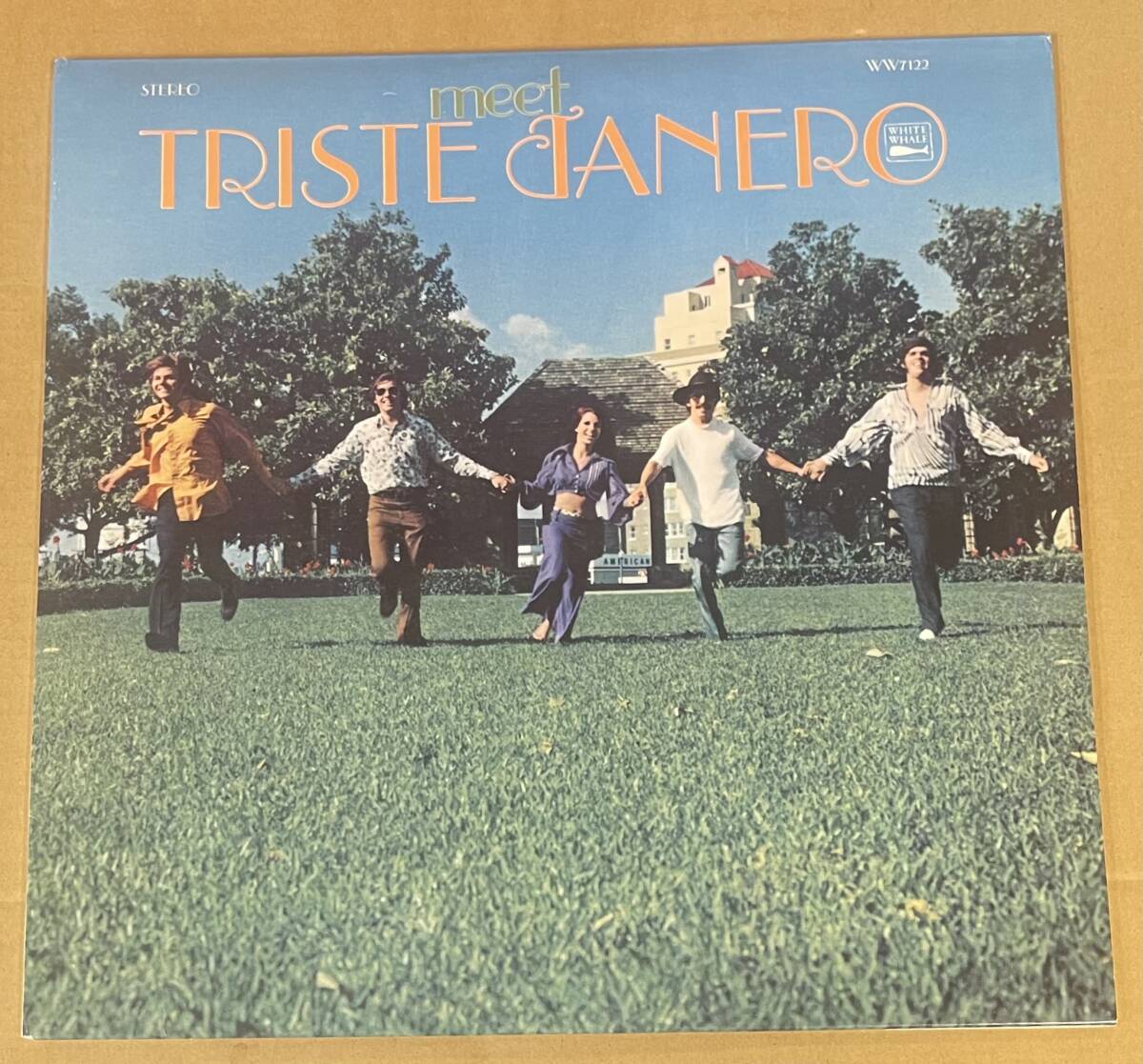 LP Triste Janero トリステ ジャネイロ Meet Triste Janero ソフトロック(ボサノバ)｜売買されたオークション ...