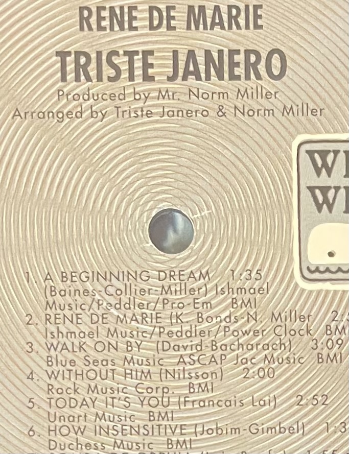 LP Triste Janero トリステ ジャネイロ Meet Triste Janero ソフトロック(ボサノバ)｜売買されたオークション ...