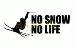 NO SNOW NO LIFE ステッカー スキー2 Lサイズ(その他)｜売買されたオークション情報、yahooの商品情報をアーカイブ公開 ...