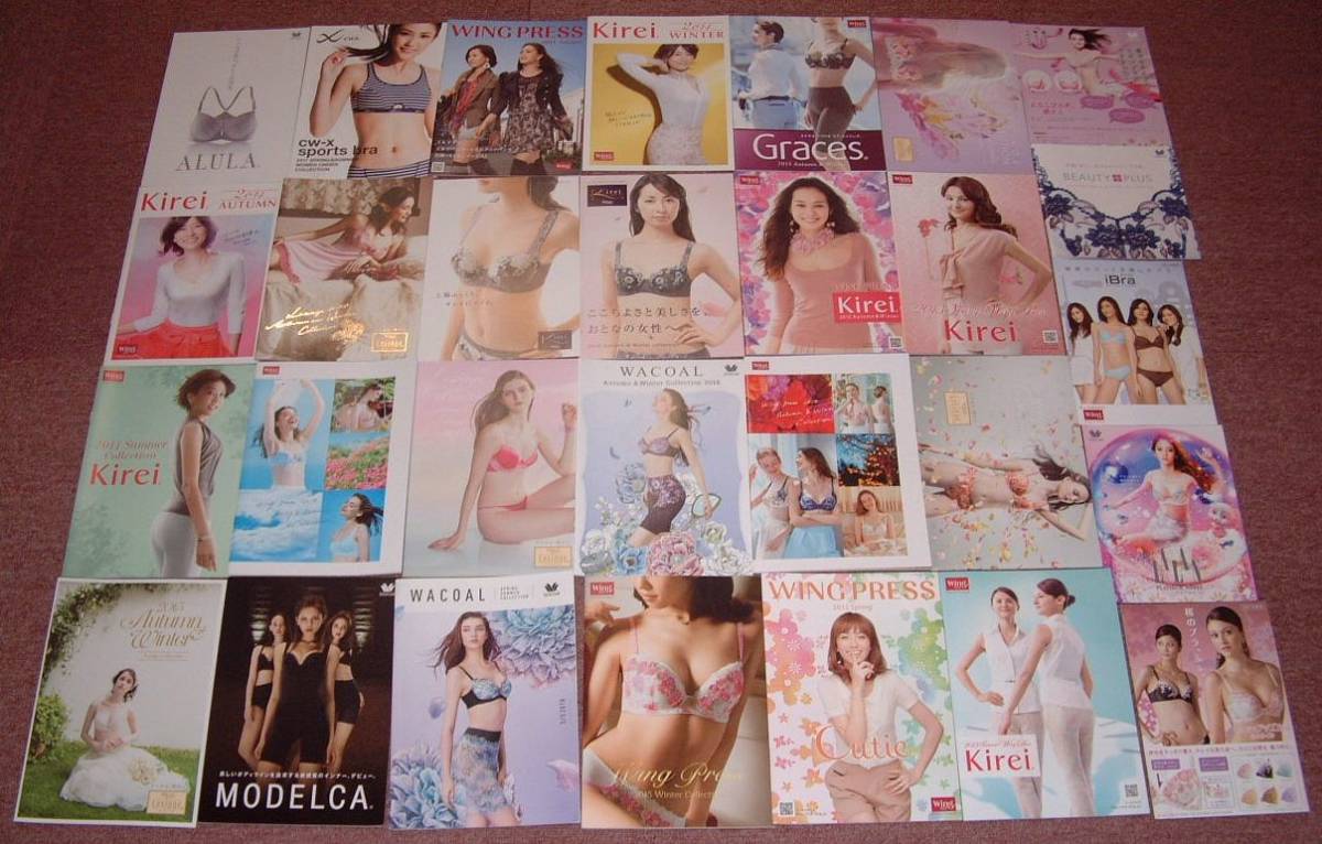 ワコール WING PRESS LESIAGE レシアージュ 等 下着 カタログ チラシ 29冊(インナーウエア)｜売買されたオークション情報、yahooの商品情報をアーカイブ公開 ...