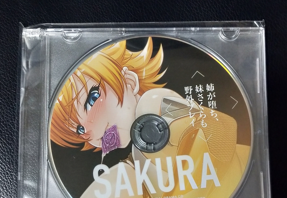 C97 電気外祭り2019 Lilith 会場限定 購入者特典 対魔忍アサギ 井河さくら 姉が堕ち 妹さくらも野外プレイドラマCD(コミック、アニメグッズ)｜売買されたオークション情報 ...