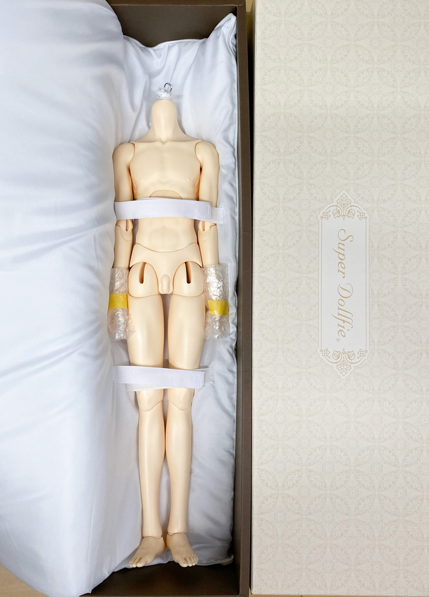 ボークス SD17男の子 Captain Cecile キャプテン セシル ボディ(本体)｜売買されたオークション情報、yahooの商品情報をアーカイブ公開 - オークファン（aucfan.com）