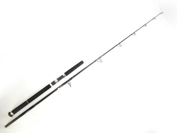 ダイワ ソルティガ エクスペディション SGムラムラ76 DAIWA SALTIGA SG MURAMURA 76(ダイワ)｜売買された ...