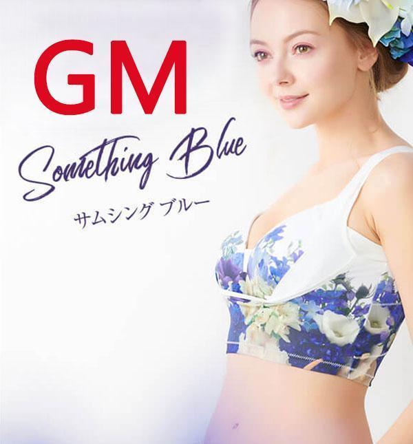 セレブラ ナイトブラ DR METHOD CelleBra GMサイズ(その他)｜売買されたオークション情報、yahooの商品情報をアーカイブ公開 - オークファン（aucfan.com）