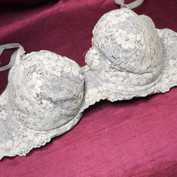 イクヨ祭 BLP 105-1 # 日本ボディファッション Cカップ 80×95 グレーの高級お花レース 人妻ブラ ´` タンス整理ECO 若宮 ...