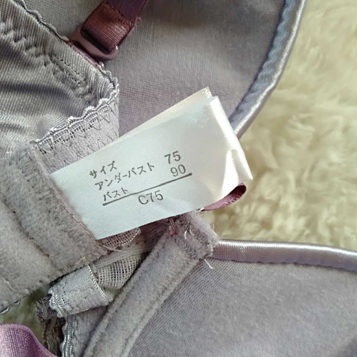 セクシーなランジェリー ブラ上下 C75 パープル系(75)｜売買されたオークション情報、yahooの商品情報をアーカイブ公開 - オークファン（aucfan.com）