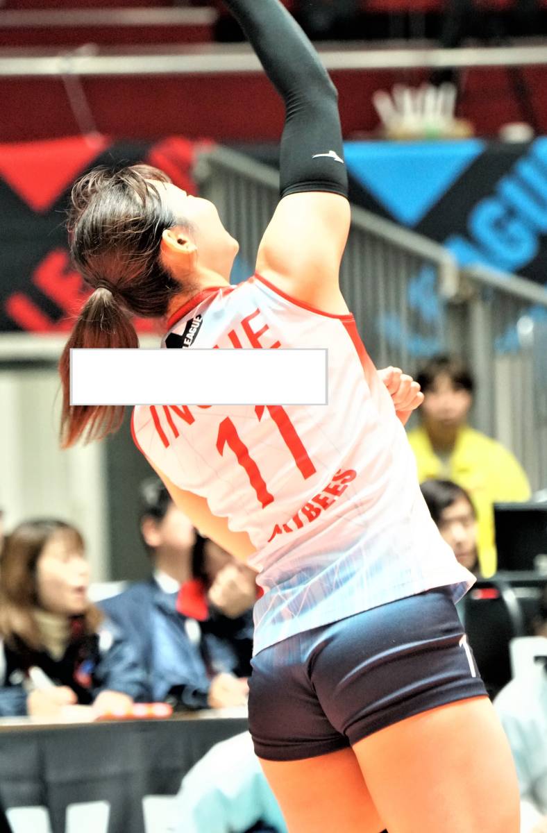 k inoue 2L版1枚 ② volley(その他)｜売買されたオークション情報、yahooの商品情報をアーカイブ公開 - オークファン ...