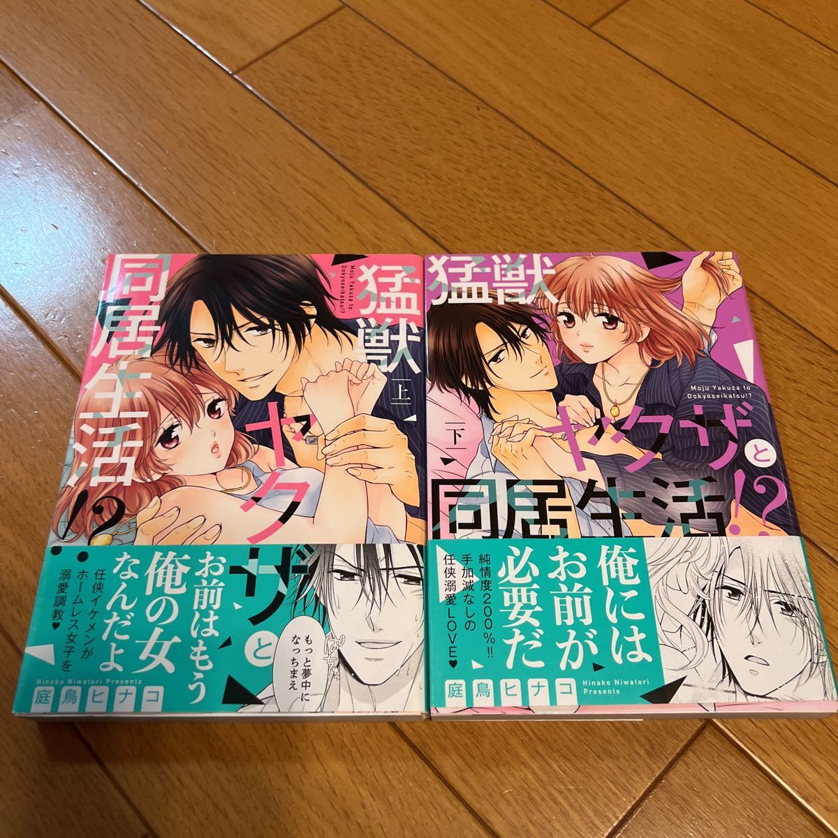 猛獣ヤクザと同居生活 上 下巻セット 庭鳥ヒナコ ラブきゅんCOMIC(女性)｜売買されたオークション情報、yahooの商品情報をアーカイブ公開 - オークファン（aucfan.com）