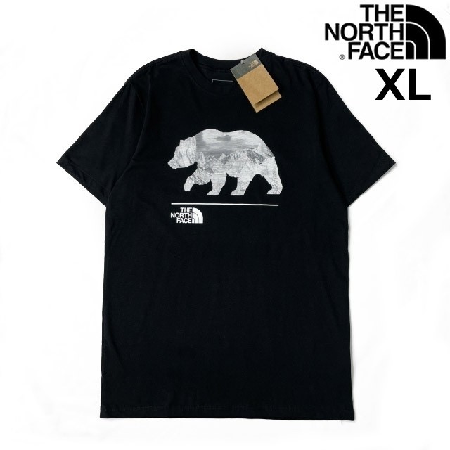 正規 THE NORTH FACE S/S BEARSCAPE 2 TEE 半袖 Tシャツ US限定 クマ グラフィック キャンプ アウトドア ...