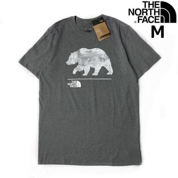 1円 売切 正規 THE NORTH FACE S/S BEARSCAPE 2 TEE 半袖 Tシャツ US限定 クマ コットン 男女兼用 ...