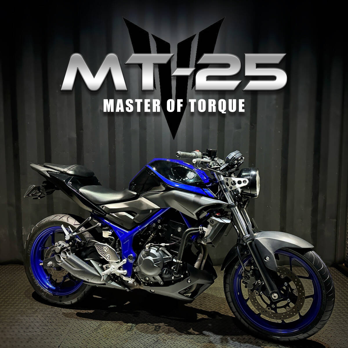 ヘッドライト丸目カスタム 走行距離2万キロ台 Fタイヤ ヤマハ MT-25 検: R25 MT25 VTR Z250 ジクサ― CBR CB F FZ GSX zxcv 24001(126cc ...