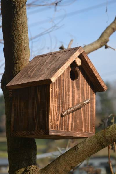 野鳥の巣箱 屋根取外し可 ヤマガラ シジュウカラ スズメ 409(バードウォッチング)｜売買されたオークション情報、yahooの商品情報をアーカイブ公開 - オークファン（aucfan.com）