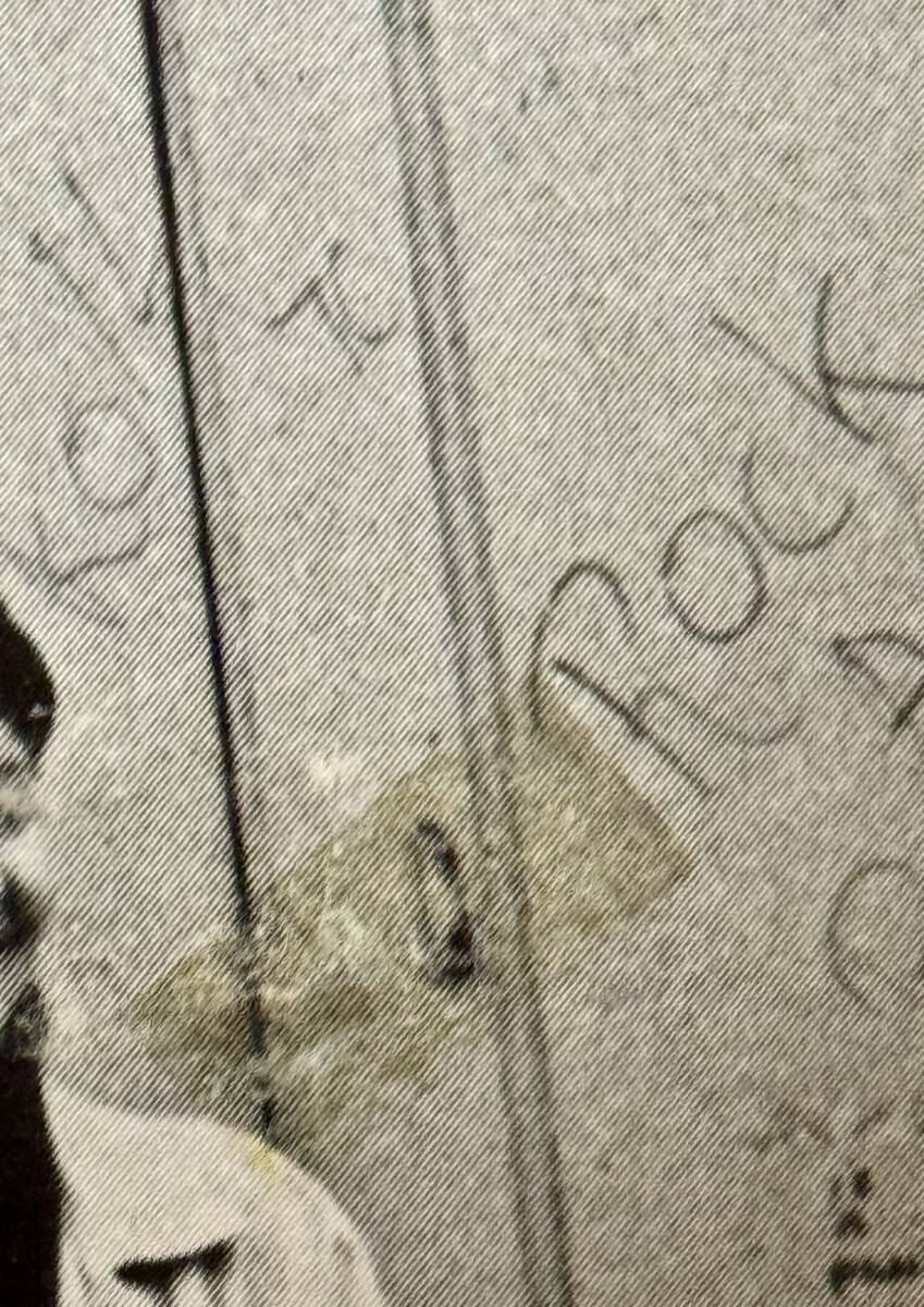 Mary Asquith Closing Time 1978 / Shallow’s Cafe #292/ UKフォーク / 英国フォーク ...