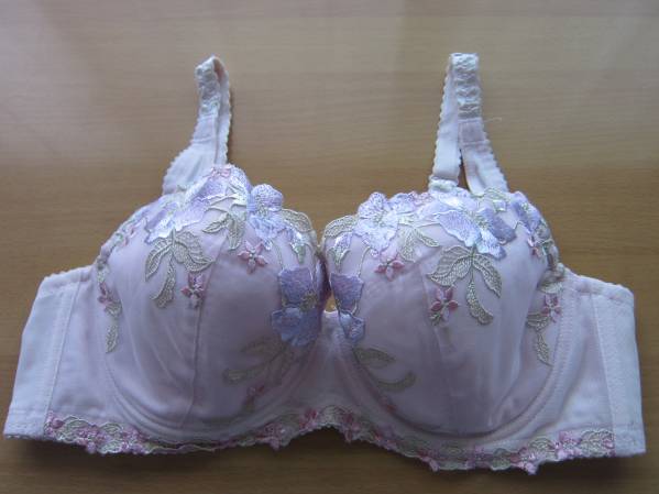 E80サイズ ブラジャー No.210(Eカップ以上)｜売買されたオークション情報、yahooの商品情報をアーカイブ公開 - オークファン（aucfan.com）