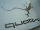 Audi quattro Gecko アウディ ゲッコー デカール ガンメタ(自動車メーカー別)｜売買されたオークション情報、yahooの商品 ...
