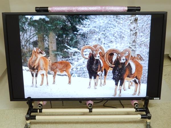 SHARP インフォメーションディスプレイ PN-E521 52インチ(24インチ～)｜売買されたオークション情報、yahooの商品情報を ...