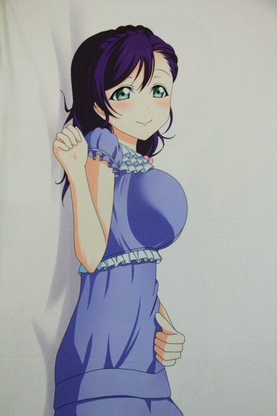 品質保証 1円スタート 限定 E146 東條 希 lovelive ラブライブ 等身大抱き枕カバー 高級素材2wayトリコット(抱き枕)｜売買されたオークション情報、yahooの商品情報を ...