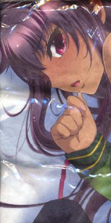 コミケC91 LiLiTH 対魔忍アサギ決戦アリーナ ユキカゼ毛布抱き枕カバー(抱き枕)｜売買されたオークション情報、yahooの商品情報をアーカイブ公開 - オークファン（aucfan.com）