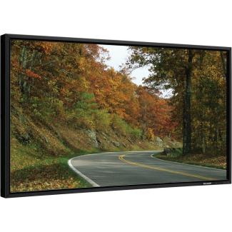 SHARP PN-E521 大画面 フルHD 52インチ 液晶インフォメーションディスプレイ TFT完璧状態 付属品付き 元箱付き(液晶 ...