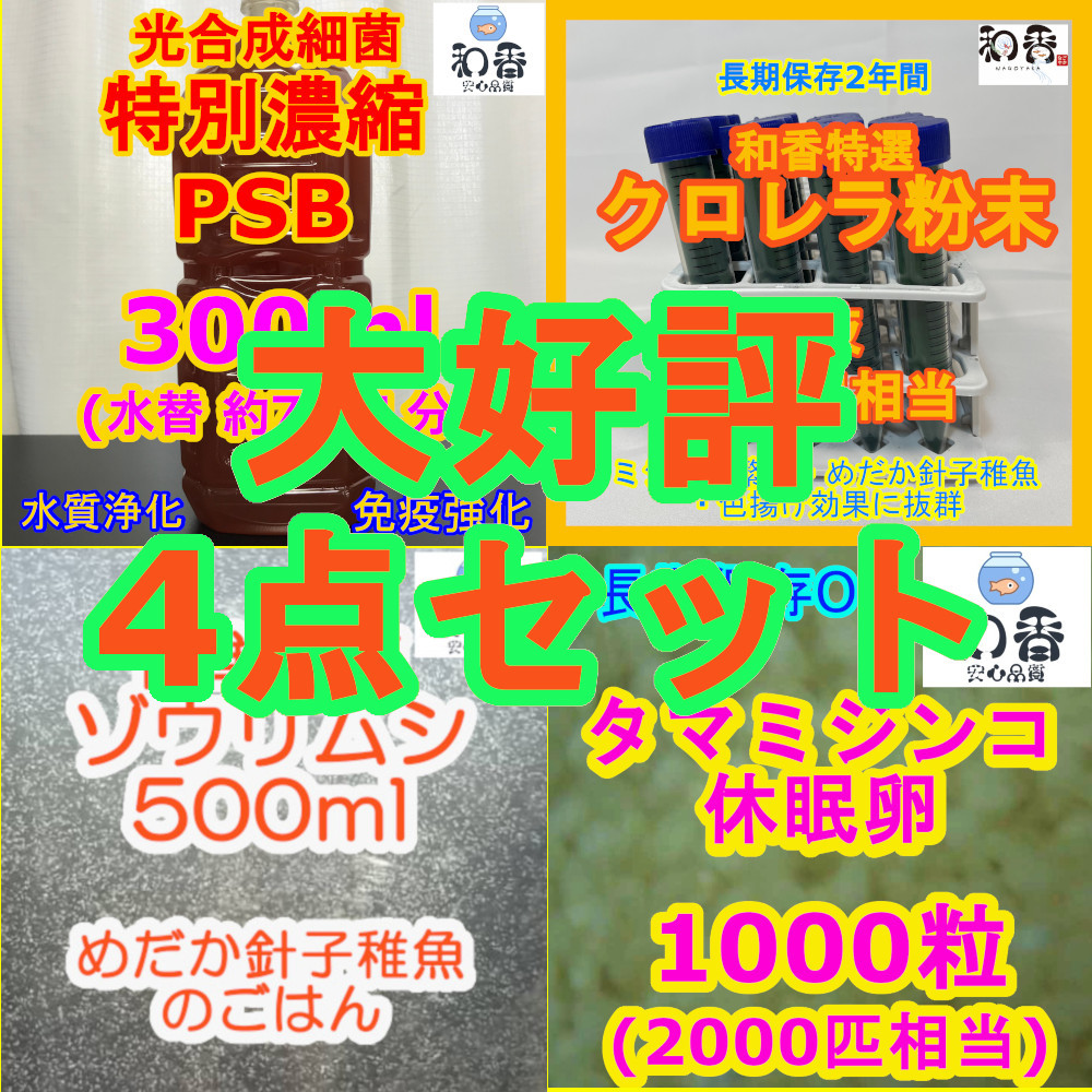 実績No1 送料安 生餌4点 ゾウリムシ500ml＆PSB300ml＆タマミジンコ休眠卵1000粒&粉末生クロレラ 針子稚魚めだか金魚グッピーバクテリア餌(エサ)｜売買されたオークション情報 ...