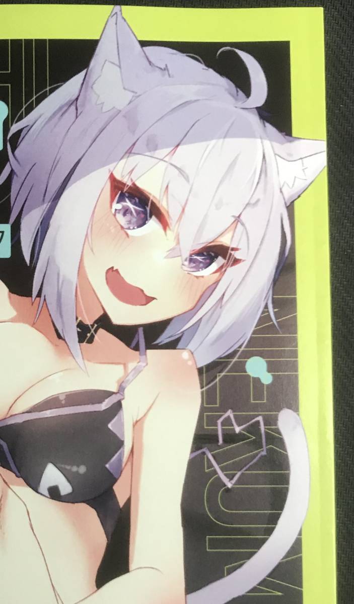 猫又おかゆ 新刊同人誌 ホロライブ Nekomata Okayu Hololive C100 コミケ パンナコッタ 炊きたてごはん(イラスト集、原画集)｜売買されたオークション情報、yahoo ...