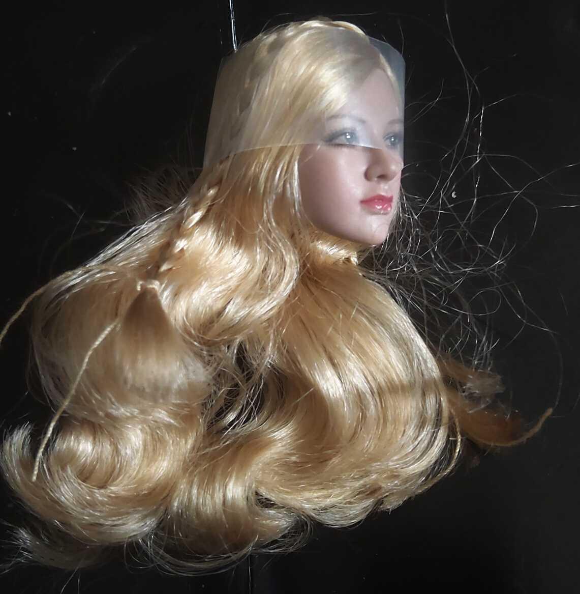 1円 ~TBLeague Silver Valkyrie Tariah 1/6用ヘッド(その他)｜売買されたオークション情報、yahooの商品 ...