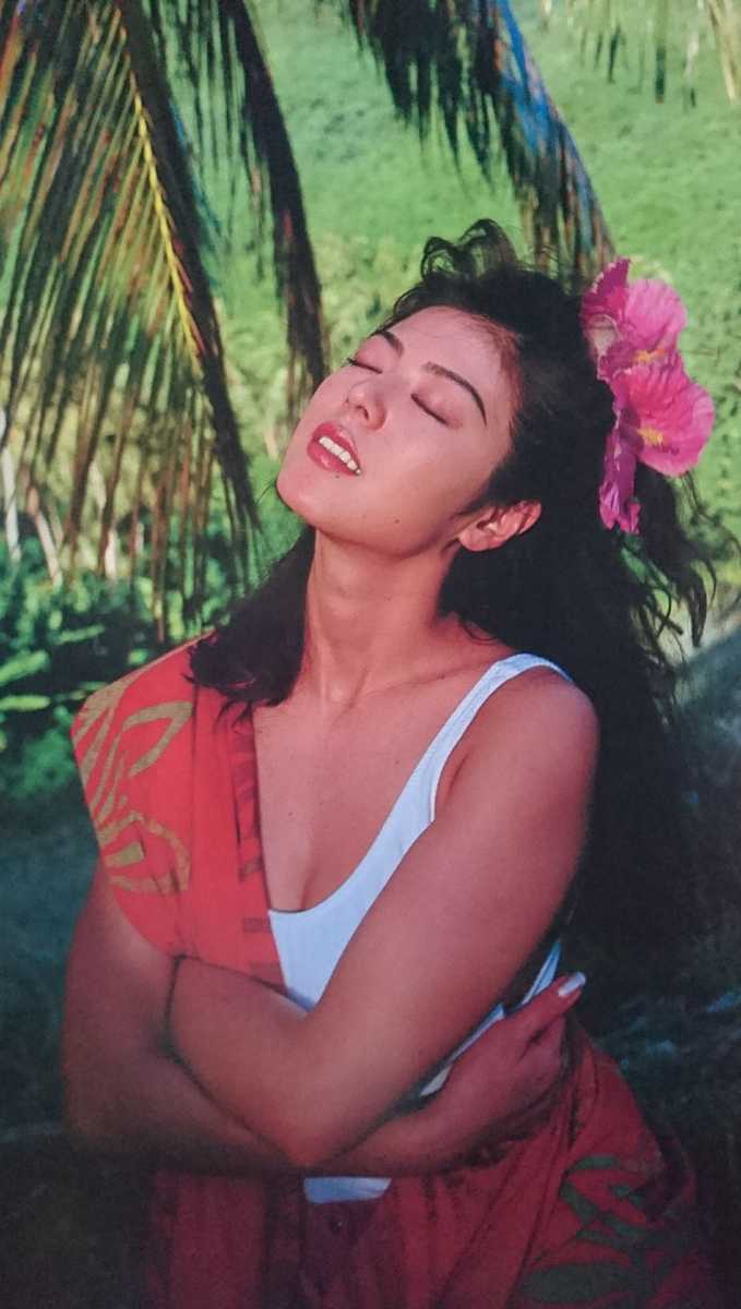 武田久美子 切り抜き11P(タレント)｜売買されたオークション情報、yahooの商品情報をアーカイブ公開 - オークファン（aucfan.com）