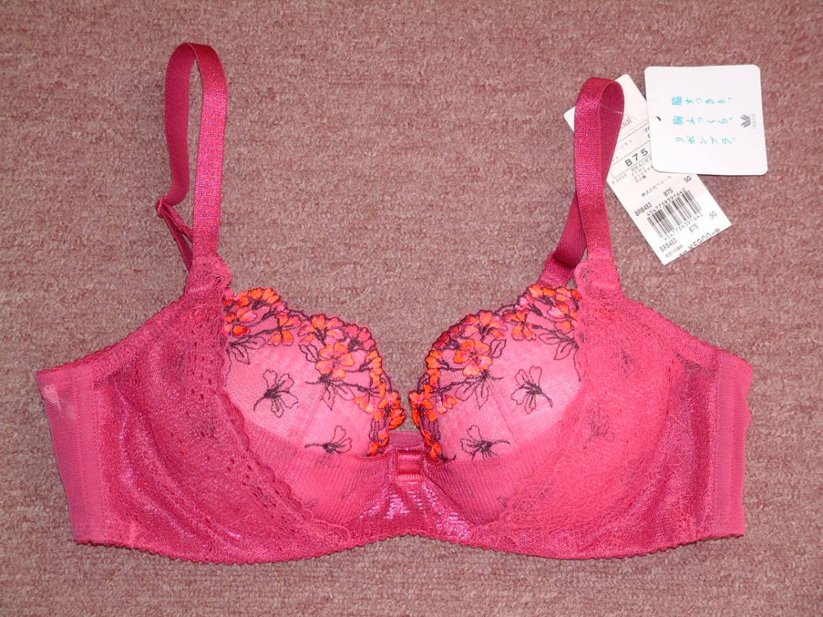 定価6490円 B75 ワコール 脇すっきり 胸ふっくら リボンブラ ブラジャー ハミ肉をしっかり集め デコルテふっくら BRB483(75)｜売買されたオークション情報、yahooの商品情報 ...
