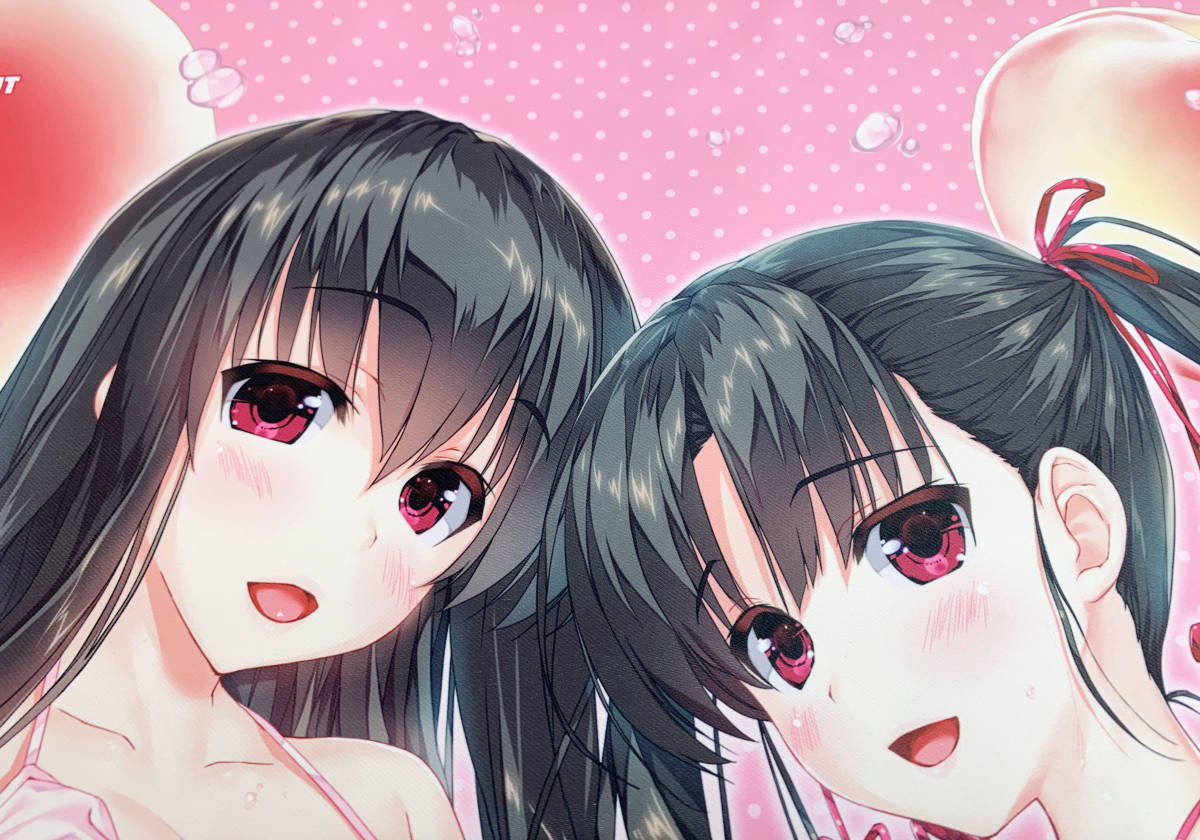 現状品 C96 しずく&なつき B2クロスポスター GRAPEFRUIT しんたろー タペストリー 5-21(タペストリー)｜売買されたオークション情報、yahooの商品情報をアーカイブ公開 ...