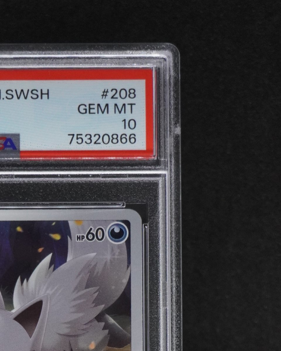 PSA10 ポチエナ AR VSTARユニバース 208/172 POOCHYENA VSTAR UNIVERSE ART RARE 2022 ...