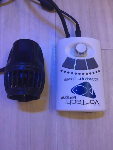 VorTech MP10w(海水魚)｜売買されたオークション情報、yahooの商品情報をアーカイブ公開 - オークファン（aucfan.com）