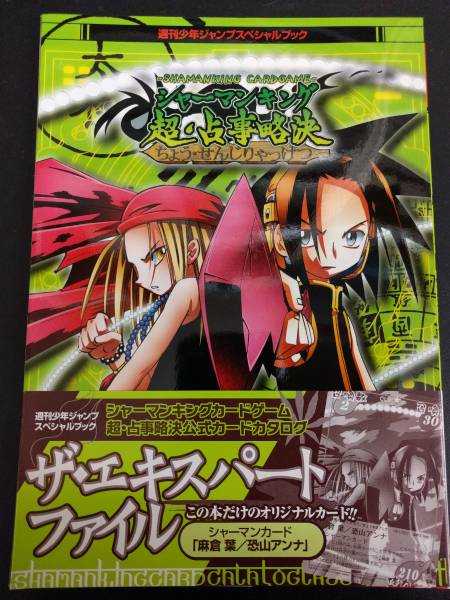シャーマンキングカードゲーム超 占事略決公式カードカタログザ エキスパートファイル 初版トレーディングカードゲーム｜売買されたオークション 2009