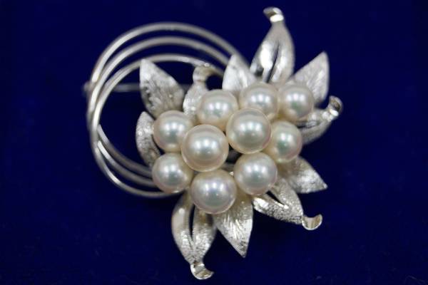 閑寂堂 旧家蔵出 あこや真珠 パールブローチ STERLING刻 南天 15g(アコヤ真珠)｜売買されたオークション情報、yahooの商品情報をアーカイブ公開 - オークファン（aucfan.com）