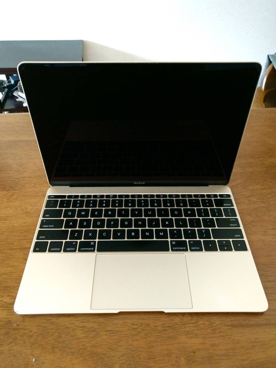 1円 ジャンク Apple MacBook Retina 12インチ 2015 ゴールド /検索→ MK4M2J/A MK4N2J/A のどちらか A1534 USキー(MacBook)｜売買 ...